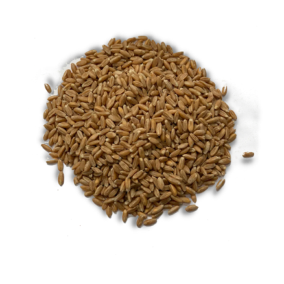 SPELT GRAIN - Royal Nut Company